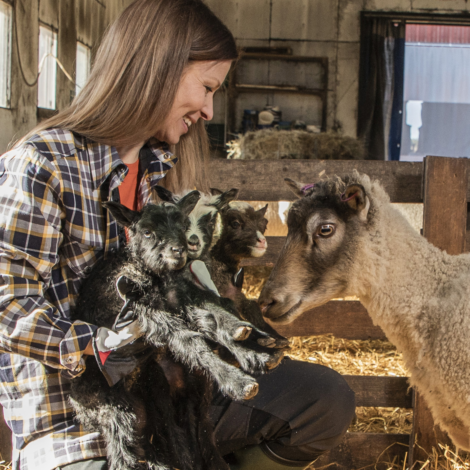 Fcr Finland - Functional Association Between The Human Myeloid ...