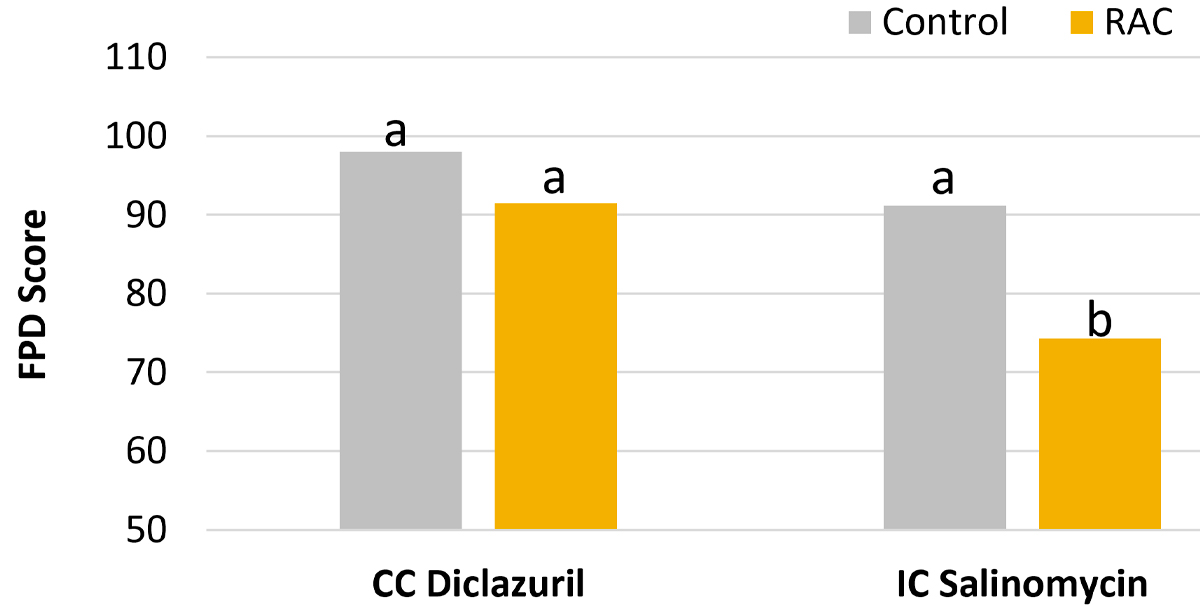 Solutions against foot pad dermatitis in broilers and turkeys - Hankkija