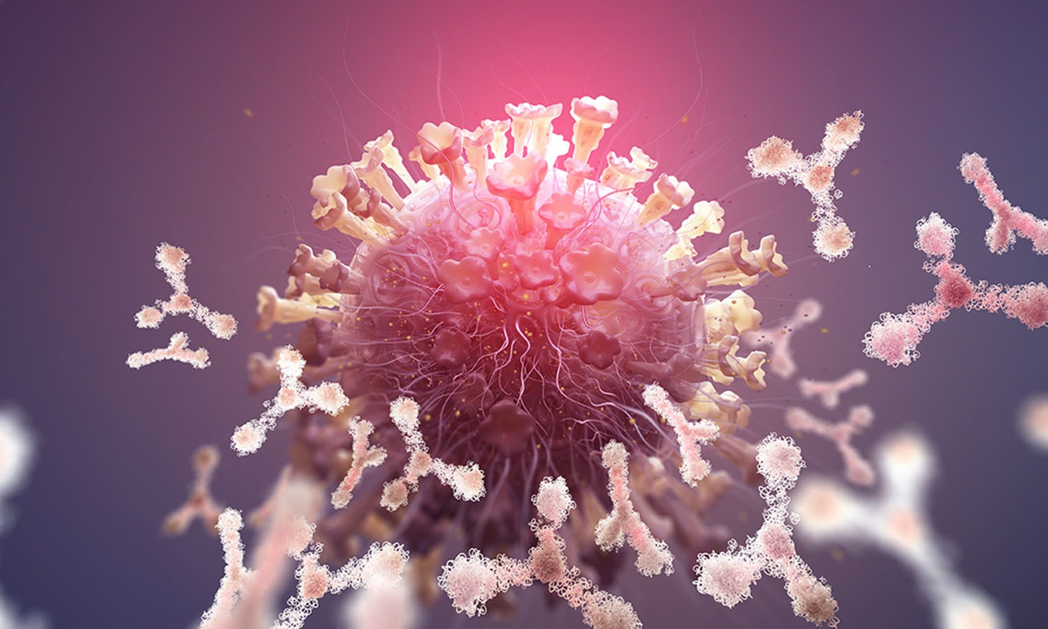 Antibiotic-Free and Zero Zinc diets for piglets: Hankkija’s solutions ...