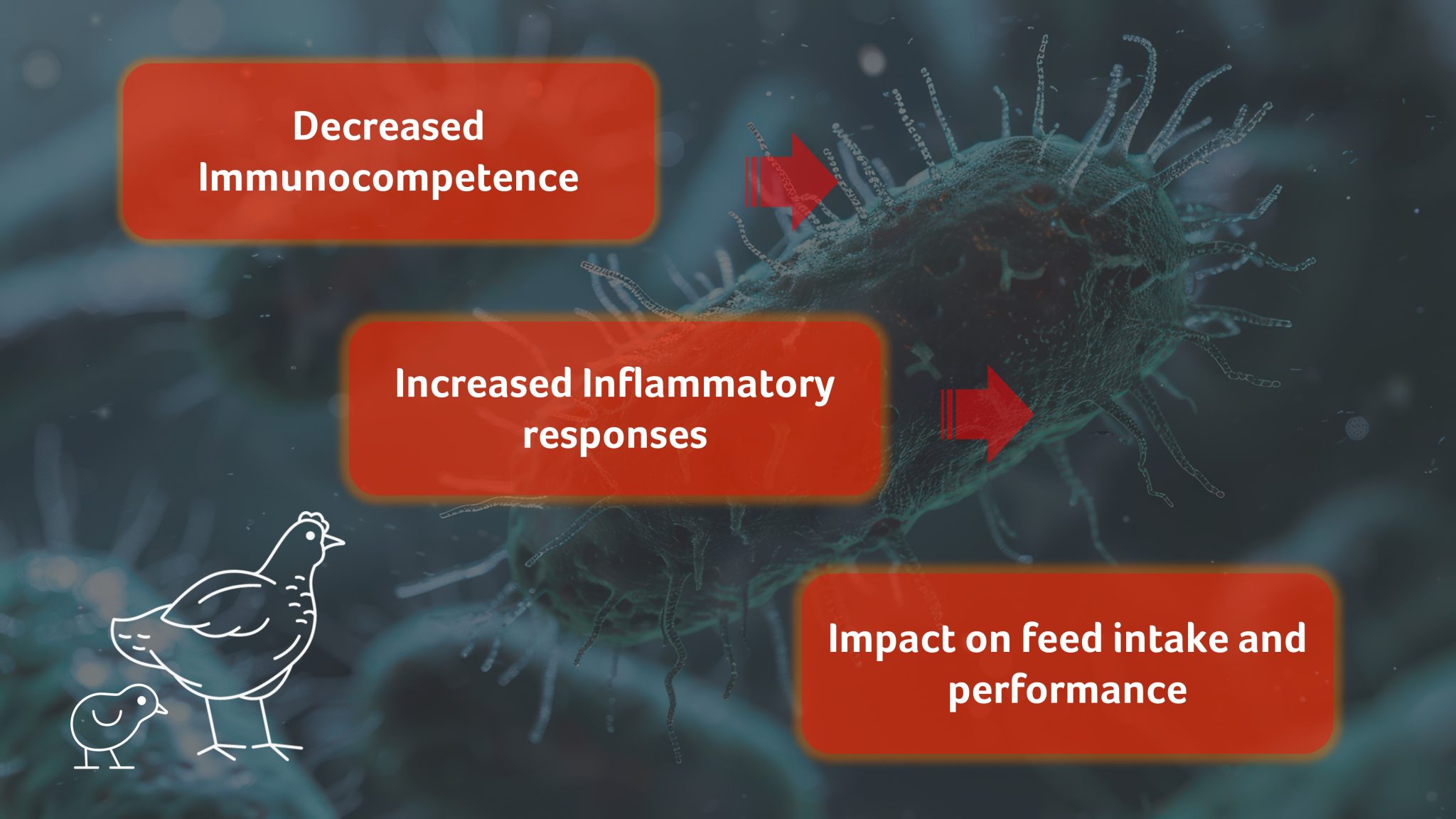 Progut®Extra against E. coli in poultry production - Hankkija