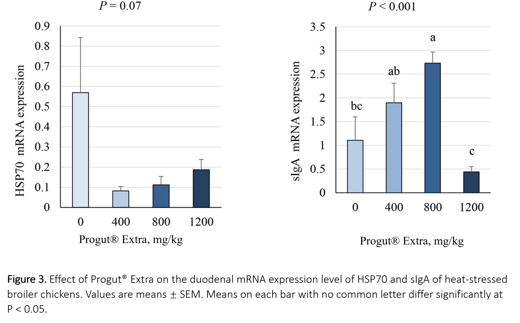 Progut® Extra: Combatting heat stress in poultry - Hankkija